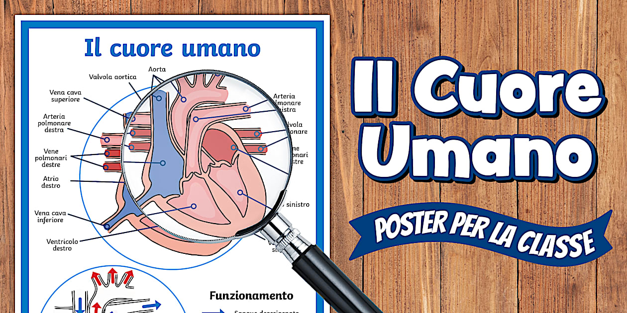 Il cuore umano: Poster