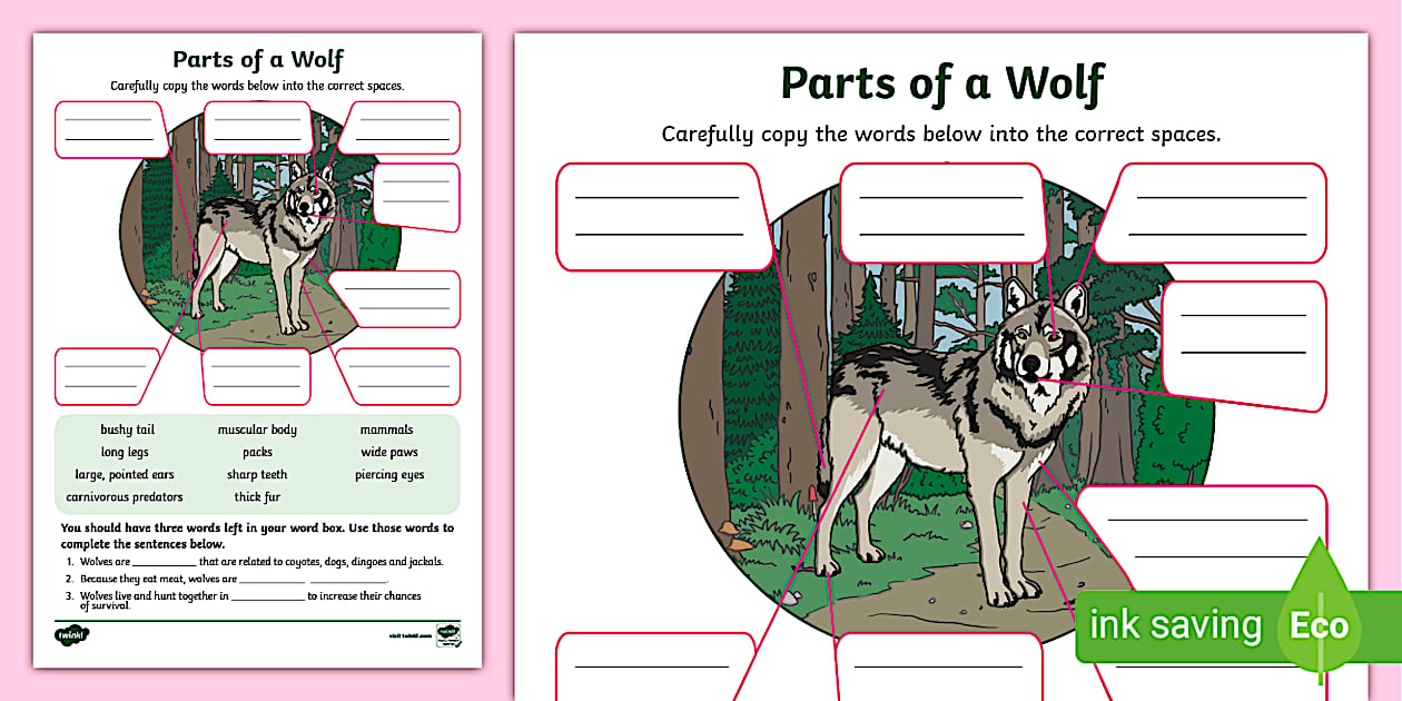 Parts of a Wolf Labelling Activity,Wolves,Wild Animals