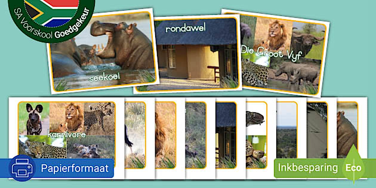 Ons Gaan op Safari: Vertoonfoto's (teacher made) - Twinkl