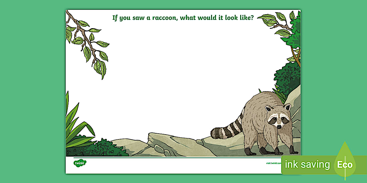 Raccoon Drawing Prompt Worksheet | Twinkl | Art | KS1