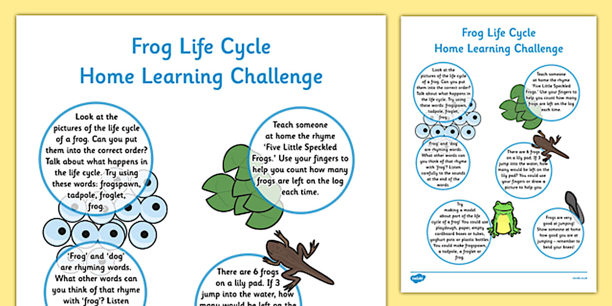 EYFS Frog Life Cycle Home Learning Challenges Reception FS2
