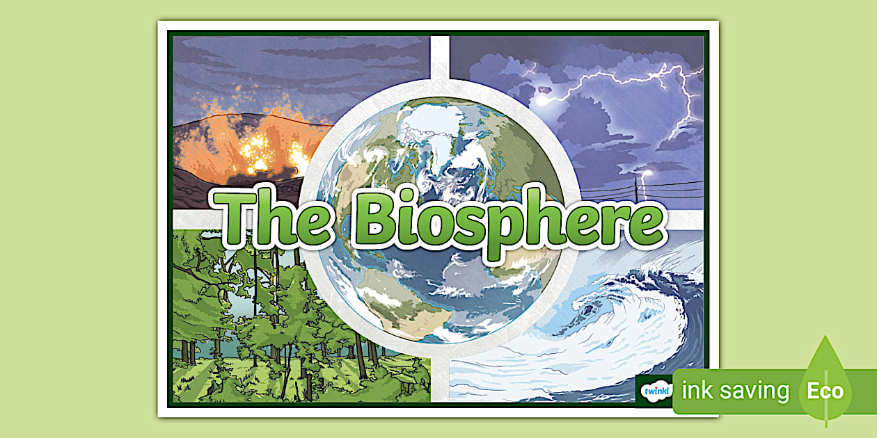 The Biosphere Display Poster (teacher made) - Twinkl