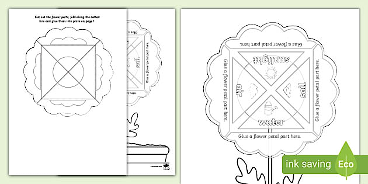What Plants Need Interactive Visual Aid Template - Twinkl