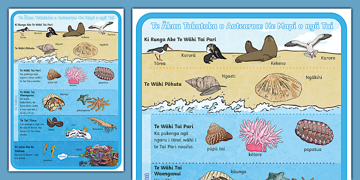 Te Ākau Tokatoka o Aotearoa: He Mapi o ngā Tai