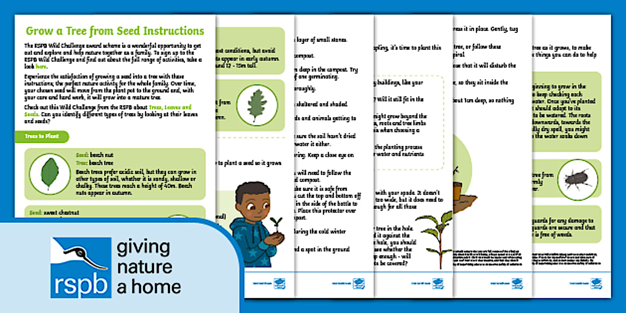 FREE! - Grow a Tree from Seed Instructions (Ages 5 - 11)