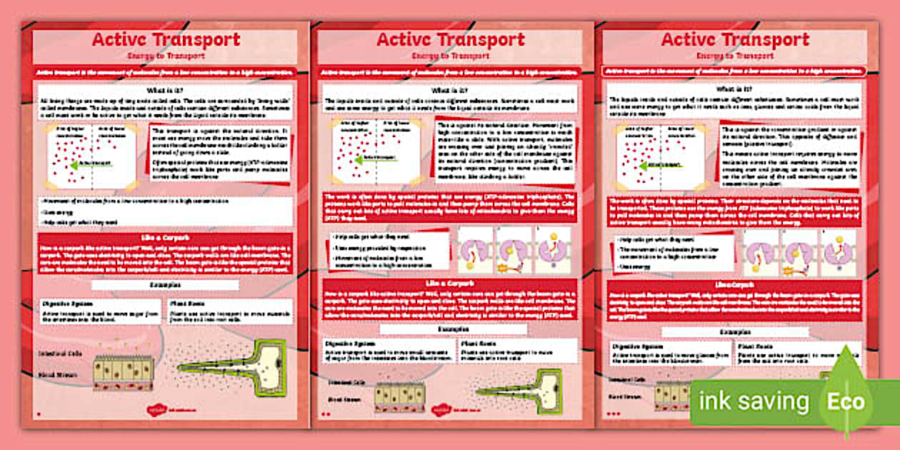 Active Transport Posters (teacher made) - Twinkl