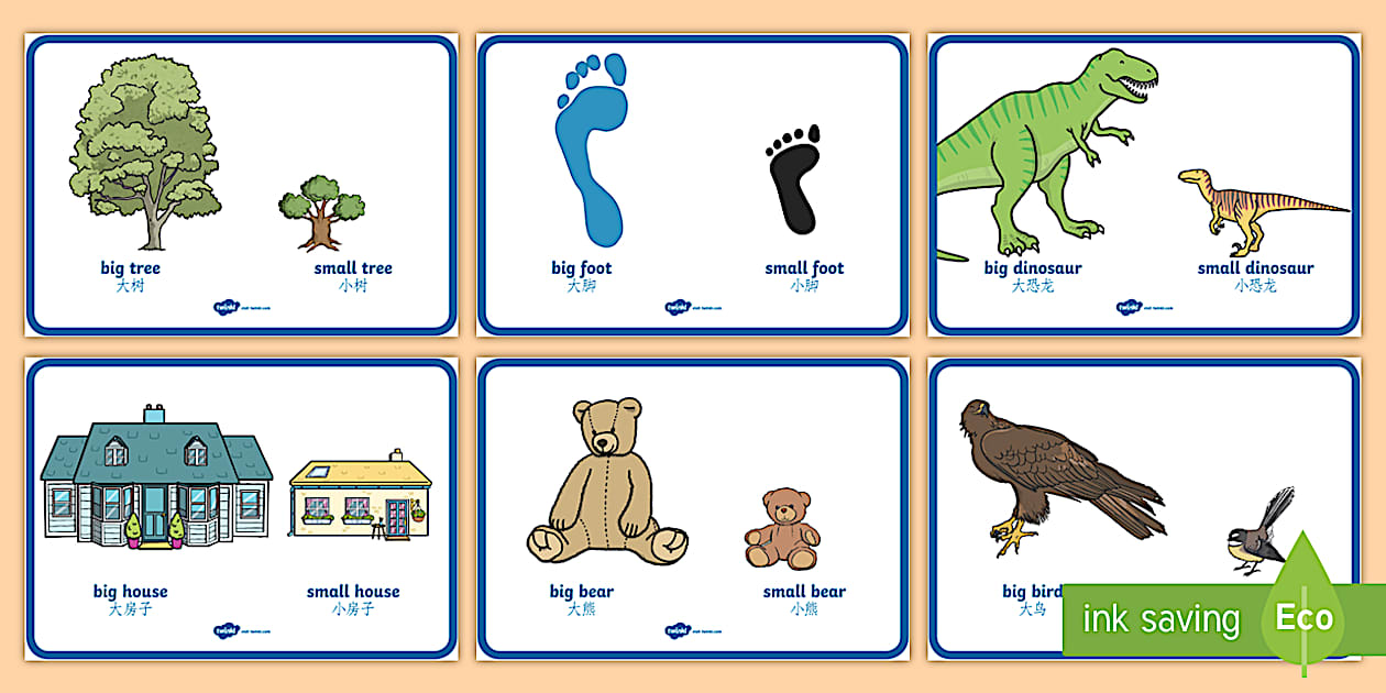 Big and Little Comparison Display Posters English/Mandarin Chinese ...
