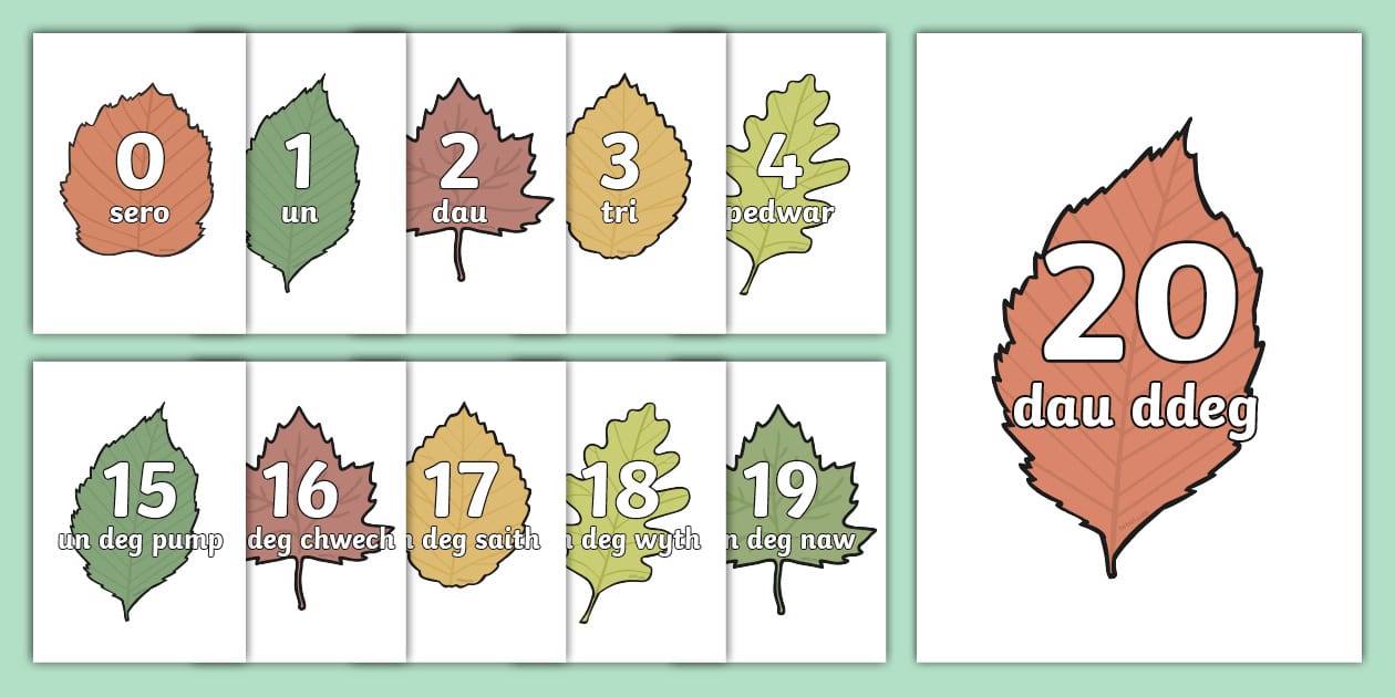 Posteri Rhifau 0 i 20 ar Ddail Lliwiau Ysgafn yr Enfys