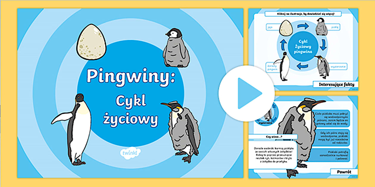 Pingwiny Antarktydy - Prezentacja PowerPoint - Twinkl
