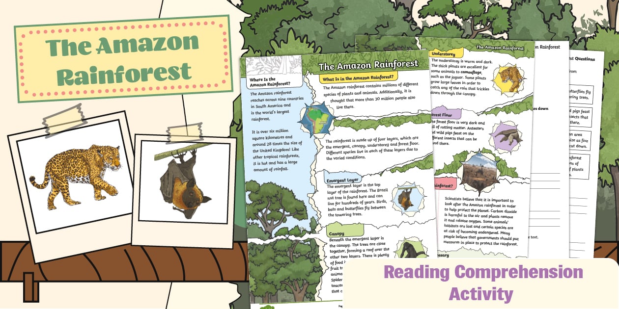 LKS2 The Amazon Rainforest Reading Comprehension Activity