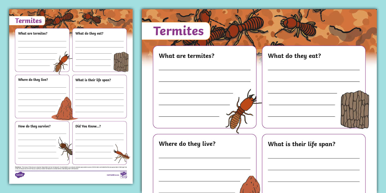 Termite Fact File Template (teacher made) - Twinkl