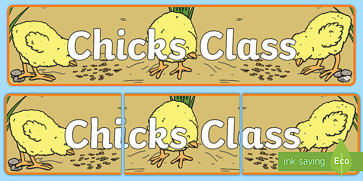 Chicks Themed Classroom Display Banner (teacher made)