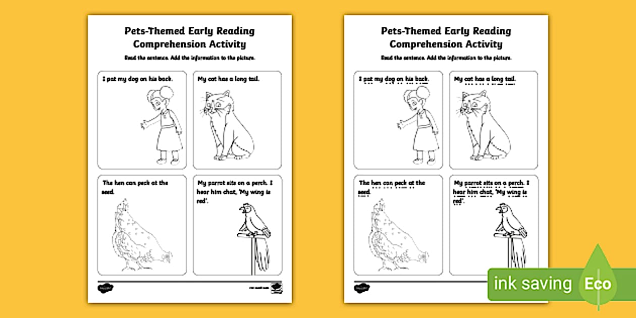 Pets-Themed Phase 3 EYFS Reading Comprehension Activity