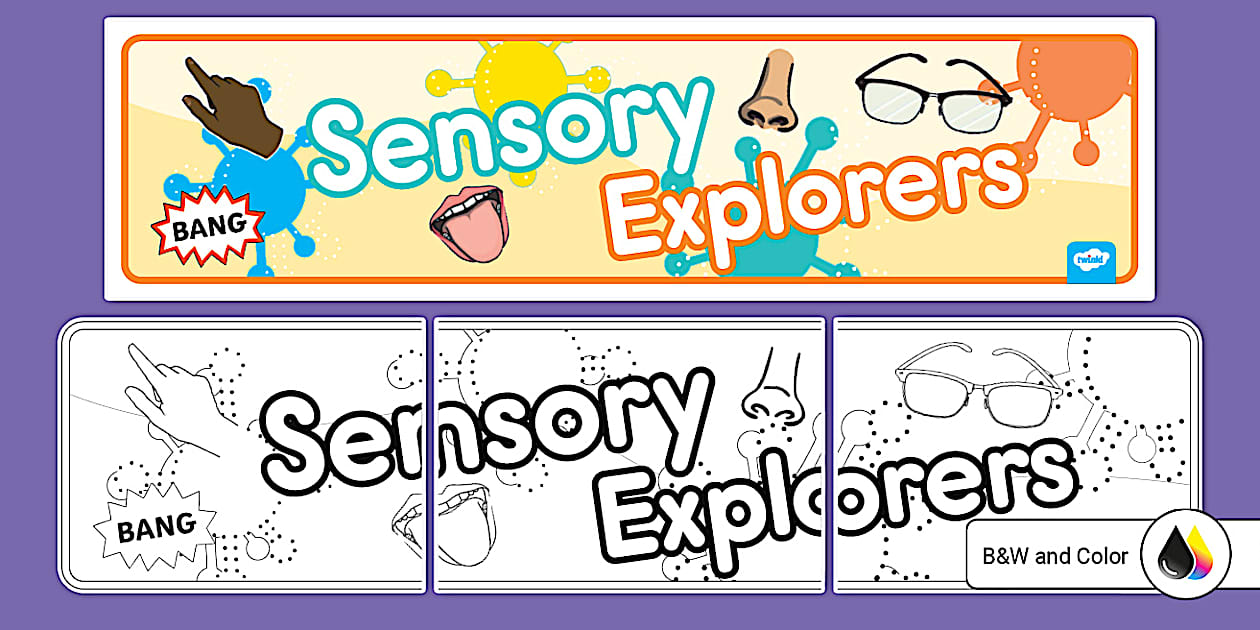 Sensory Explorers Banner (teacher made) - Twinkl