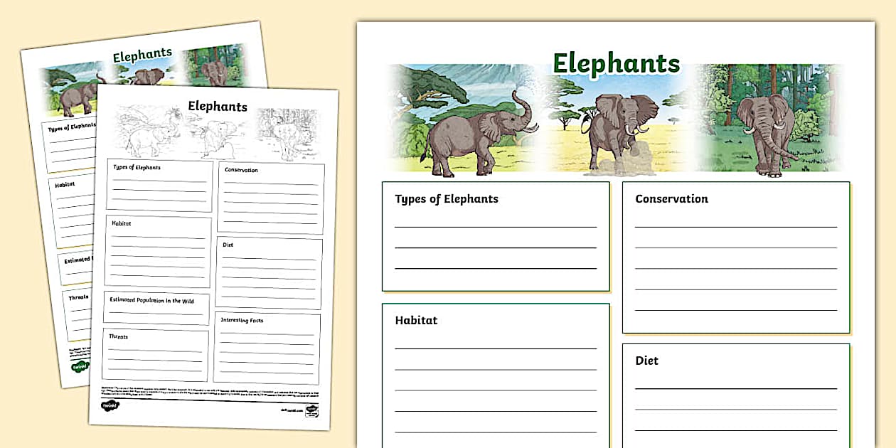 KS2 Elephants Fact File Template (Teacher-Made) - Twinkl