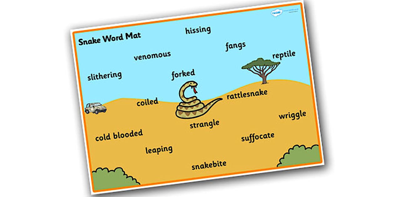 Safari Snake Word Mat (teacher made) - Twinkl