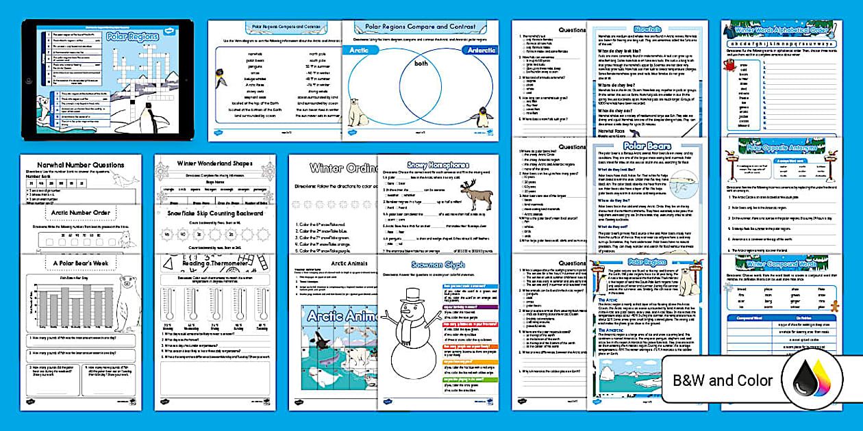 Second Grade Winter Sub Pack (teacher made) - Twinkl