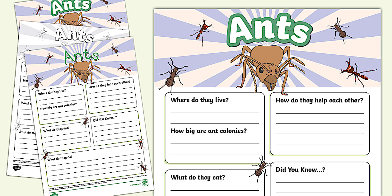 Ant Fact File Template Teaching Resources - Twinkl ZA