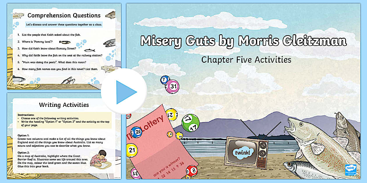 Chapter 5 Activities to Support Teaching on Misery Guts by Morris Gleitzman