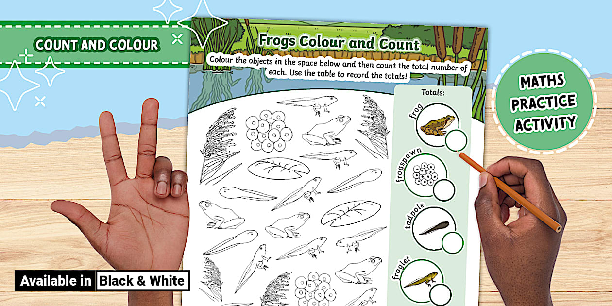 Frogs Colour and Count Worksheet (professor feito) - Twinkl