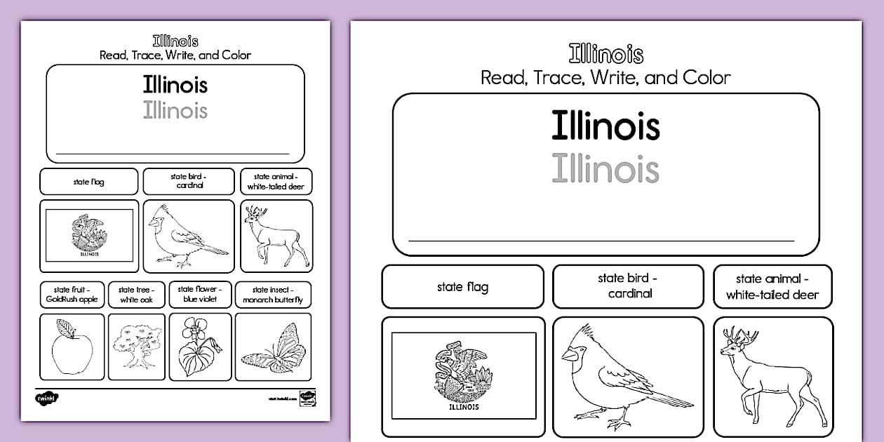 Illinois Read, Trace, Write, and Color Worksheet - Twinkl