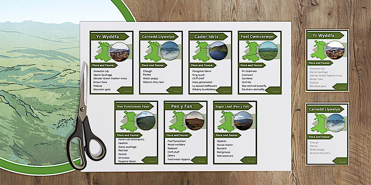 Welsh Mountains Fact Cards (Teacher-Made) - Twinkl
