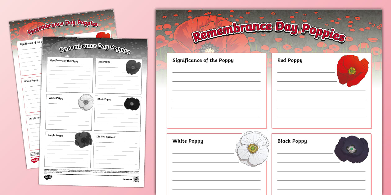 Remembrance Day Poppies Fact File Template (teacher made)