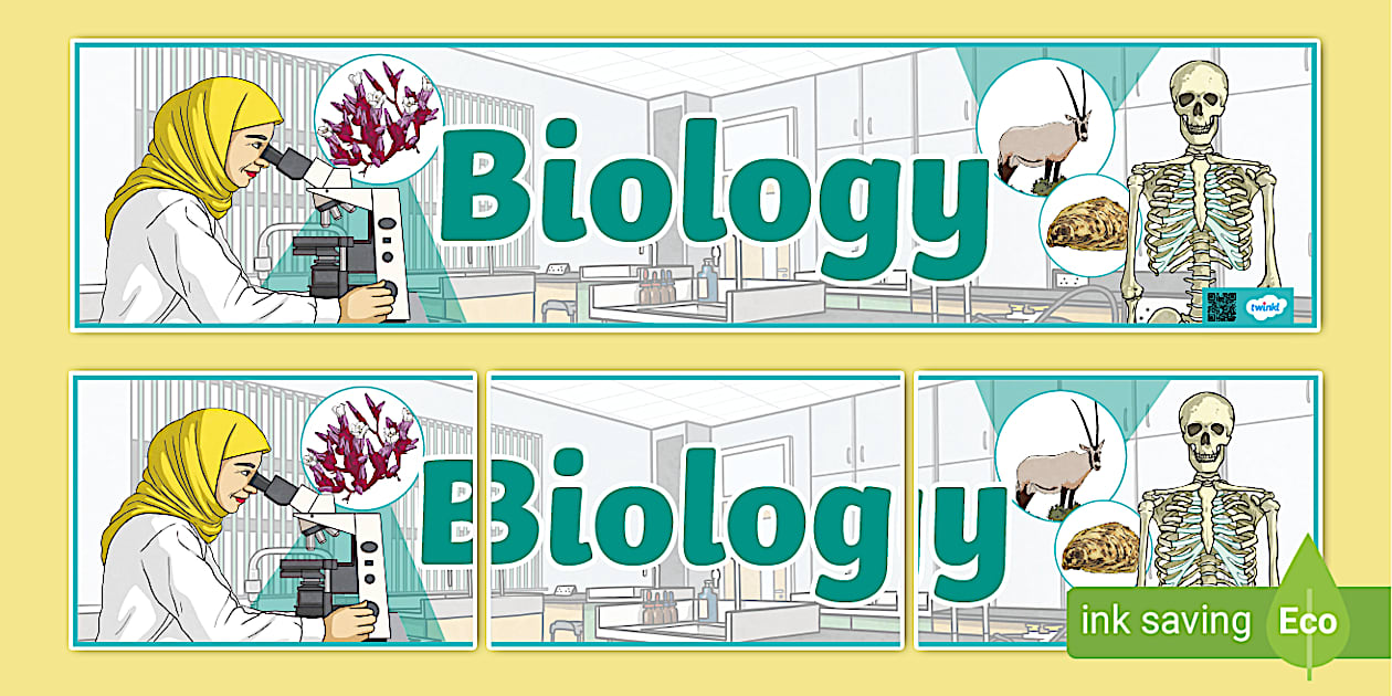 Biology Display Banner (teacher made) - Twinkl