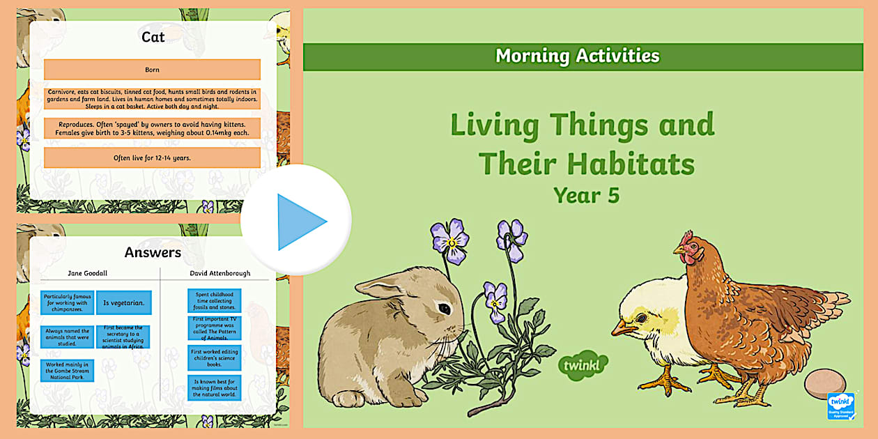Year 5 Early Morning Science Activities Living Things - animals