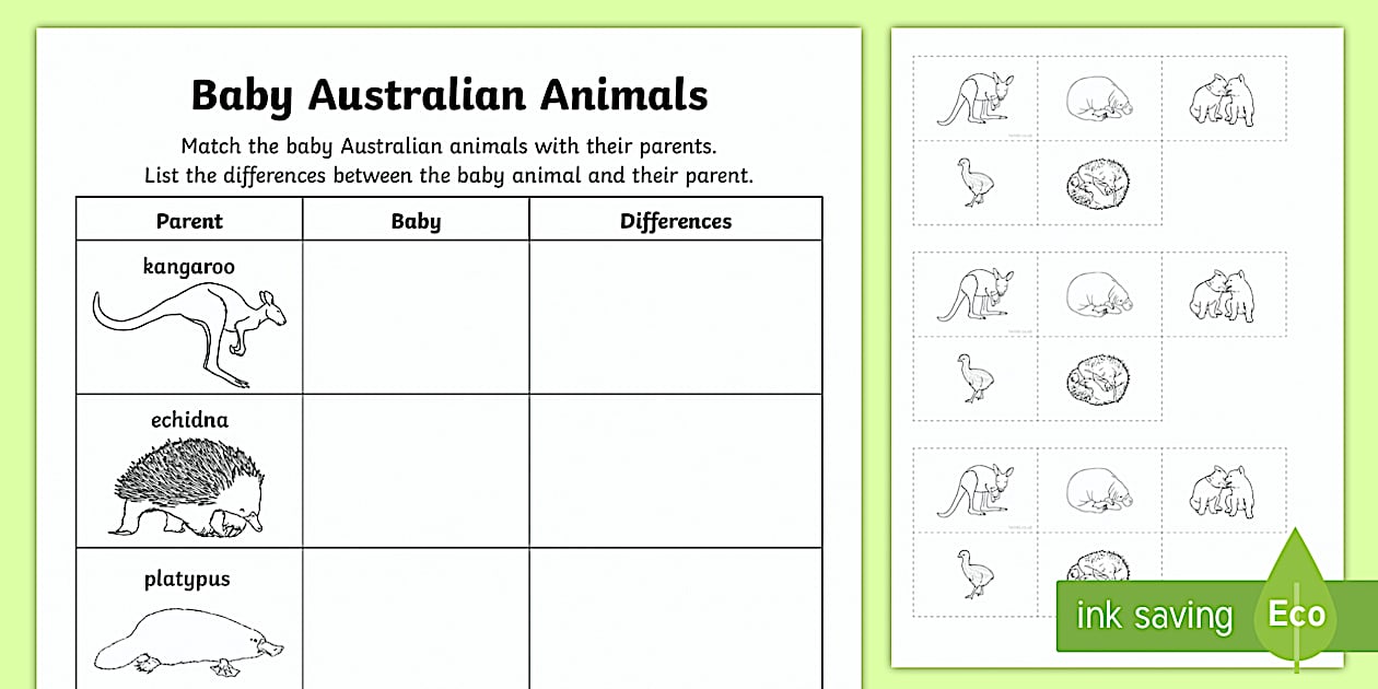 Baby Australian Animals Cut and Paste Worksheet / Worksheet-Australia