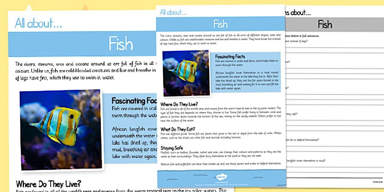 Fish Differentiated Reading Comprehension Activity - Twinkl