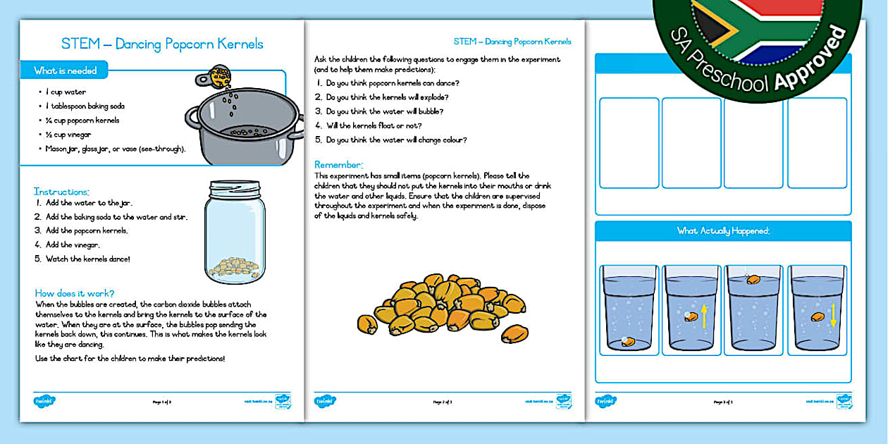 Preschool: STEM-Dancing Popcorn Seeds (Lehrer gemacht)