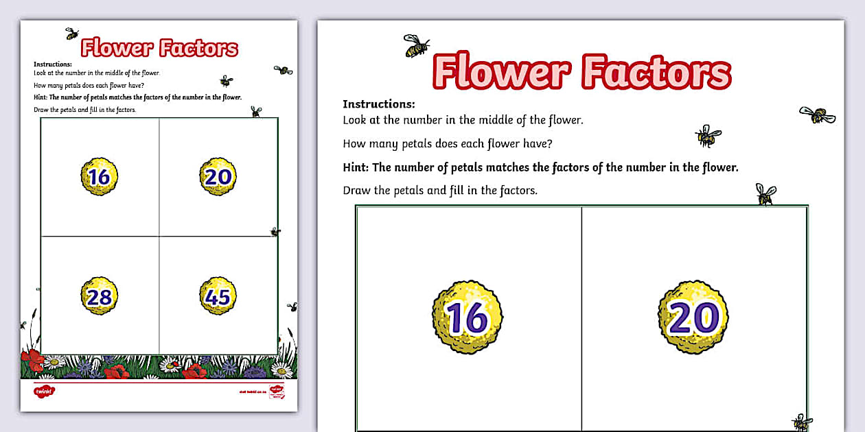 Grade 4 Maths: Factors: Flowers (teacher made) - Twinkl
