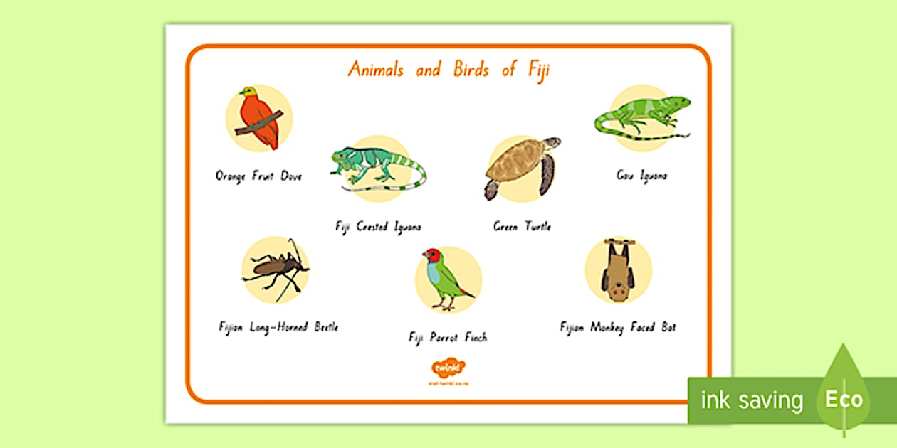 Animals in Fiji Word Mat | Fiji's Native Animals | Twinkl