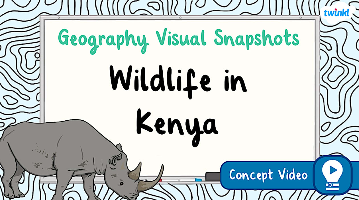 Wildlife in Kenya | KS1 Geography Concept Video