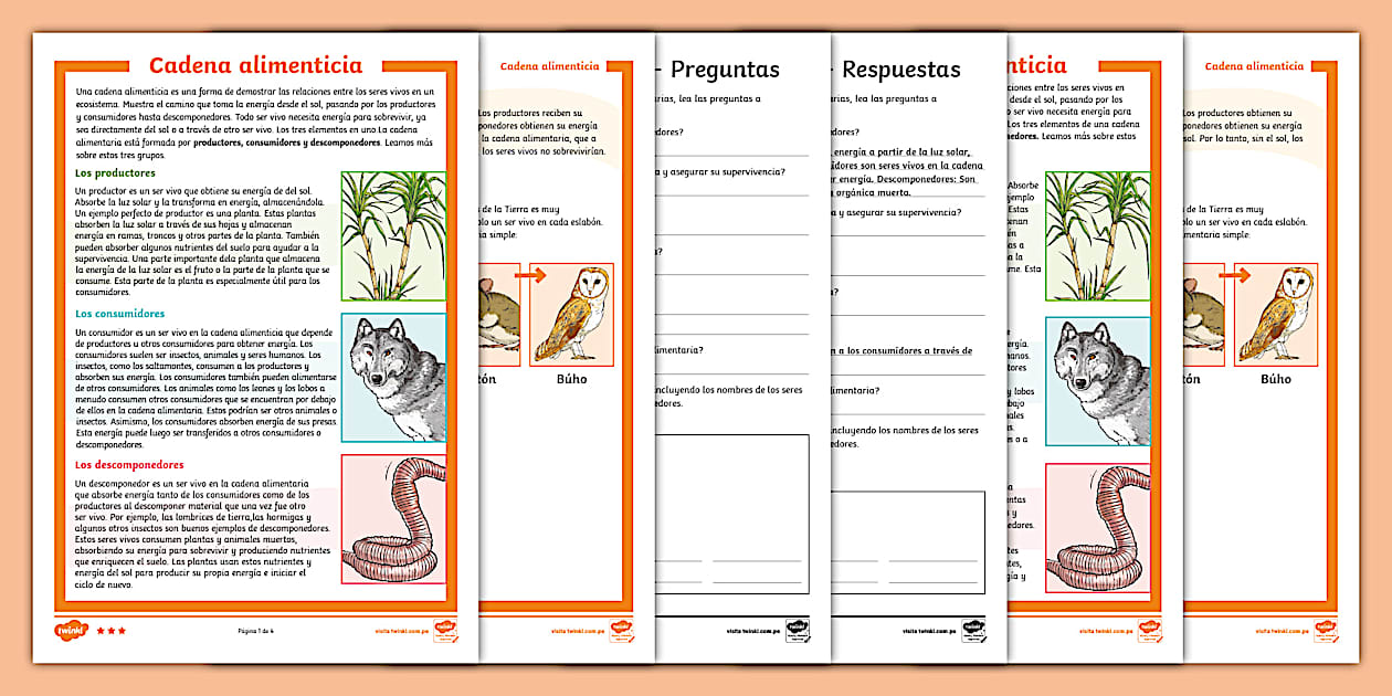Comprensión lectora diferenciada: Cadena alimenticia
