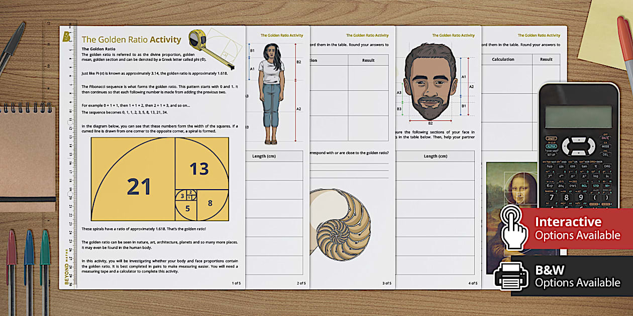 The Golden Ratio Practical Activity (teacher made) - Twinkl
