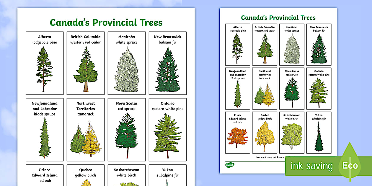 Educational Charts and Posters PDF - Provincial Trees
