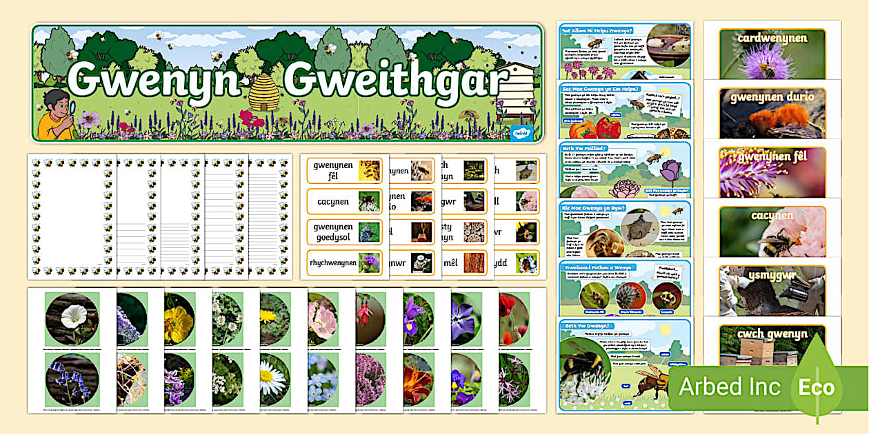 Adnoddau Arddangosfa Gwenyn Gweithgar (teacher made)