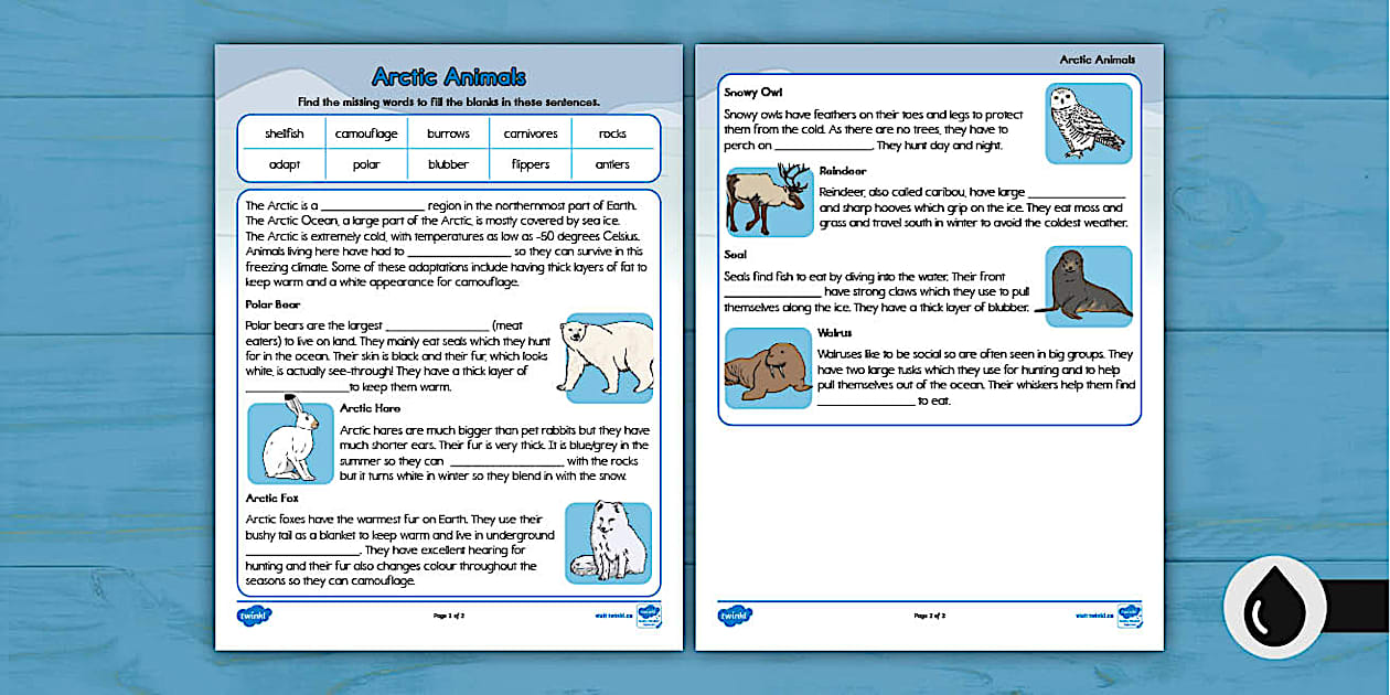 Arctic Animals Cloze Activity (teacher made) - Twinkl