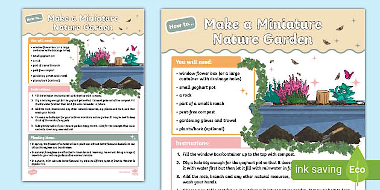 Make a Miniature Nature Garden (teacher made) - Twinkl