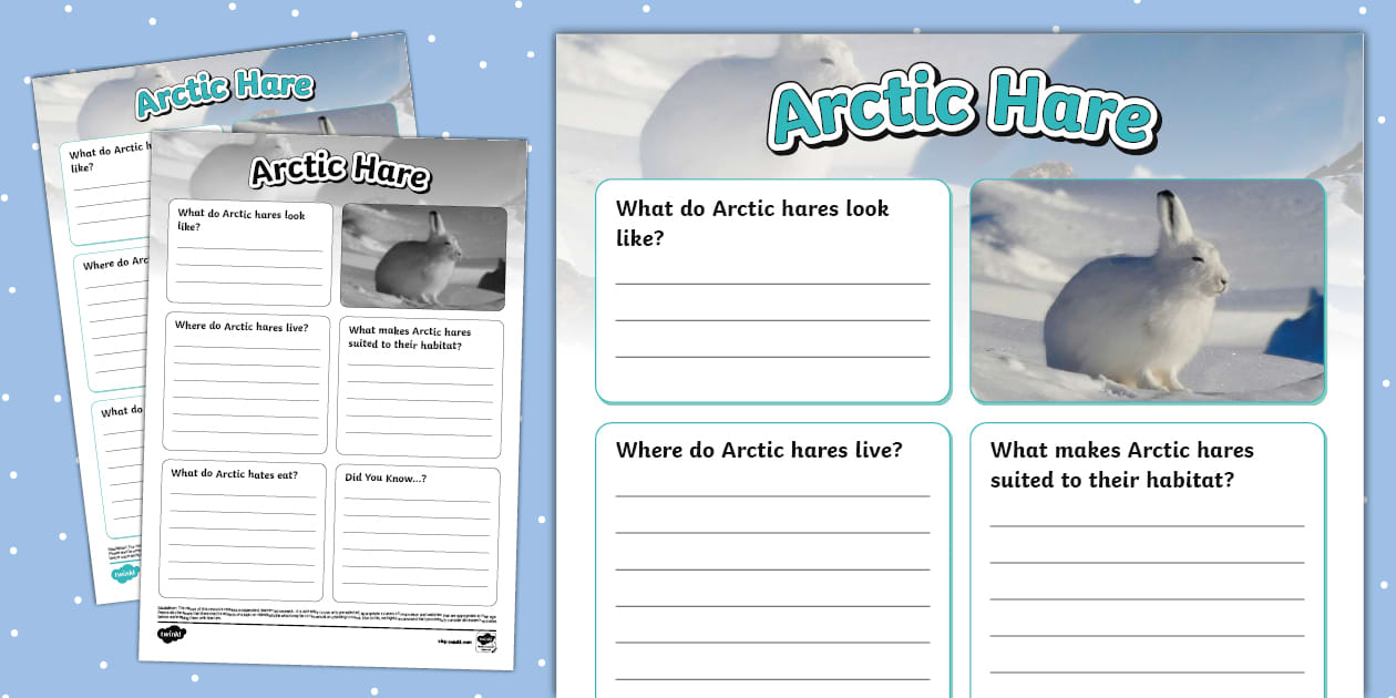 Arctic Hare Fact File Template - Twinkl English - Twinkl