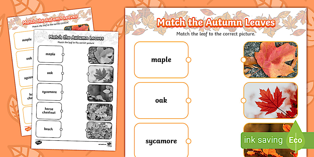 Autumn Leaf Matching Activity Sheet (teacher made) - Twinkl