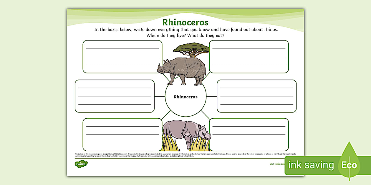 Rhinoceros Mind Map (teacher made) - Twinkl