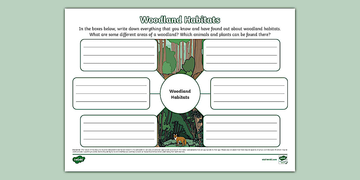 Woodland Habitats Mind Map (Teacher-Made) - Twinkl