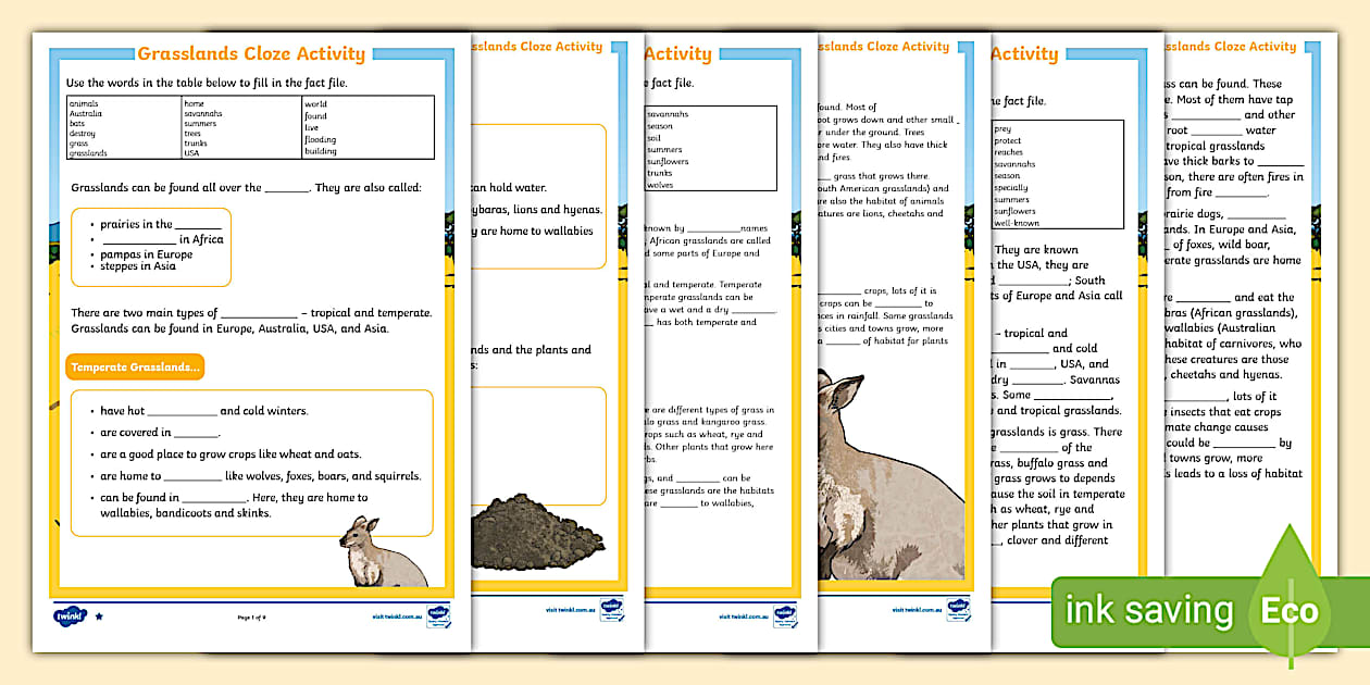 Grasslands Differentiated Cloze Activity - Year 4 HASS