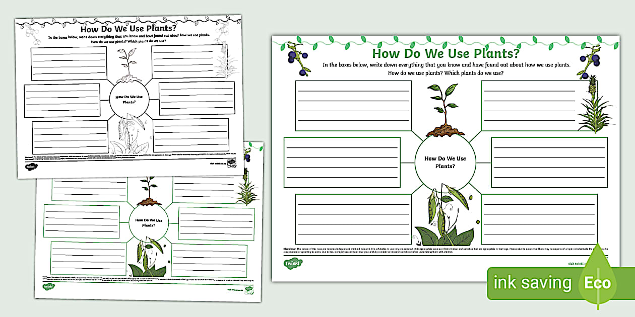 How Do We Use Plants? Mind Map (teacher made) - Twinkl