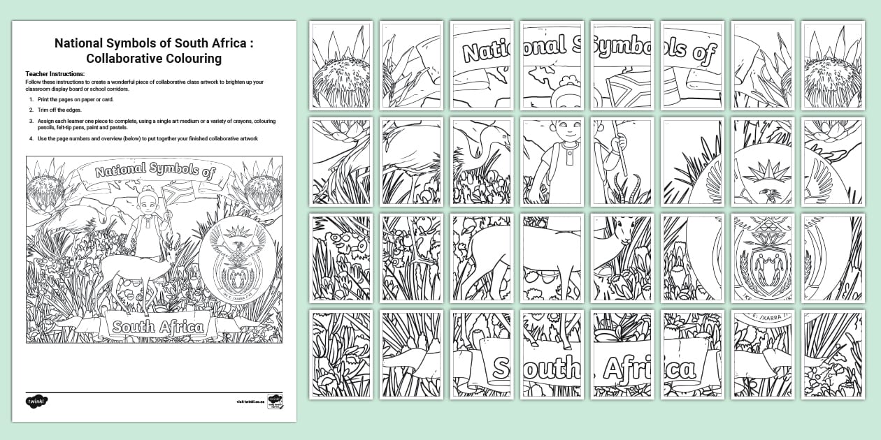 National Symbols of South Africa Collaborative Colouring