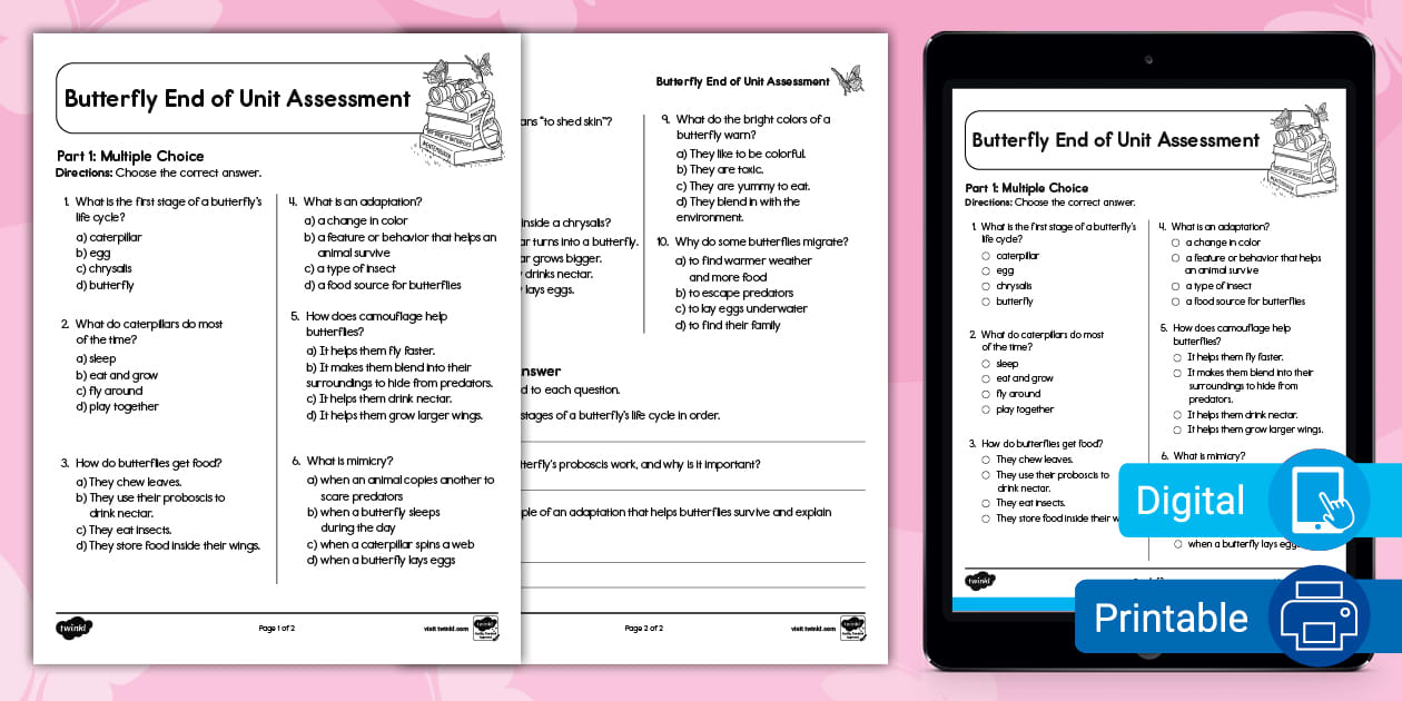 Butterfly End of Unit Assessment for K-2nd Grade - Twinkl