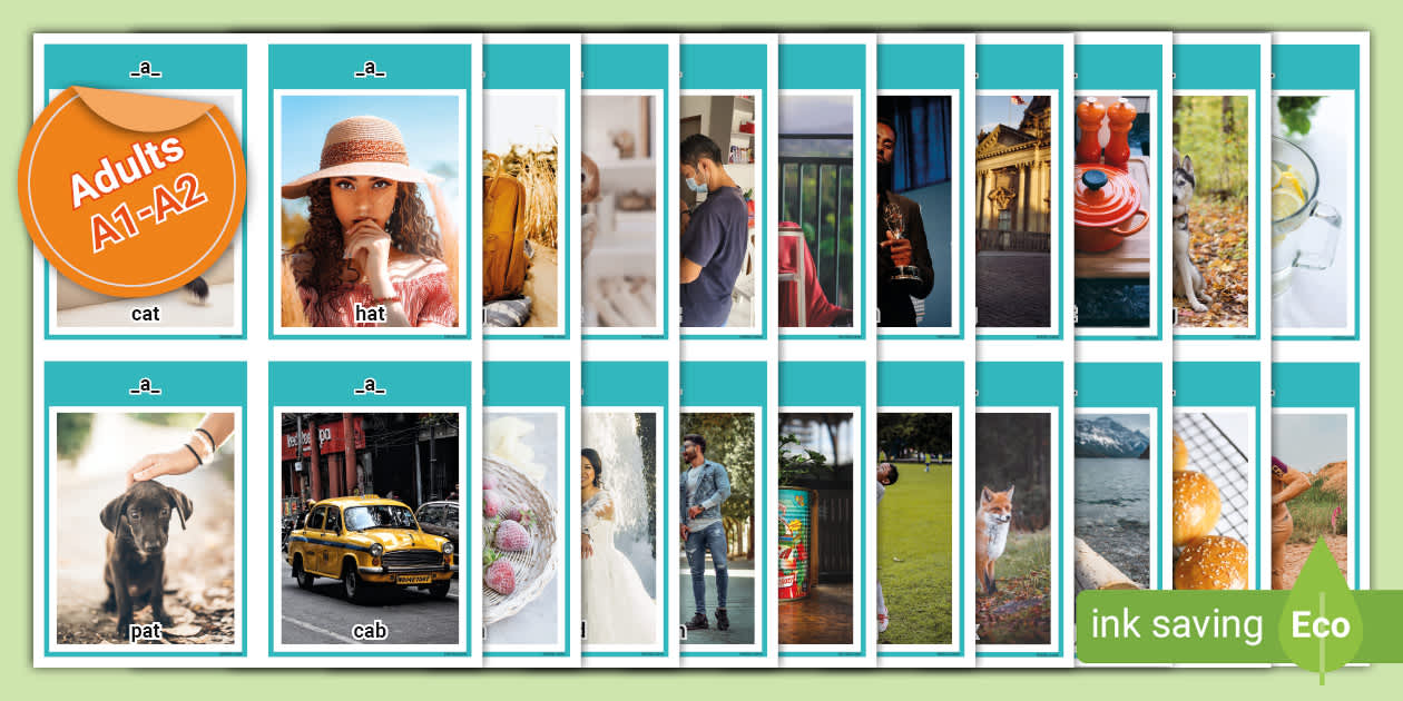 Vowel CVC Flashcards for Adult ESL Students (teacher made)